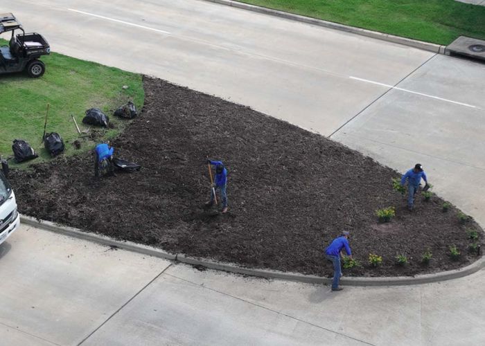 Earthcare Management - Gallery