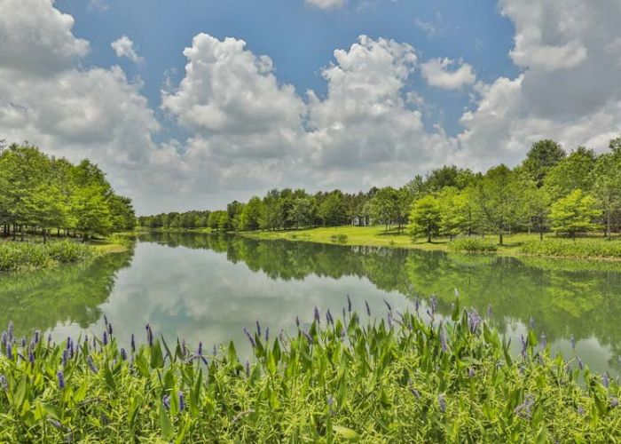 Earthcare Management - Gallery